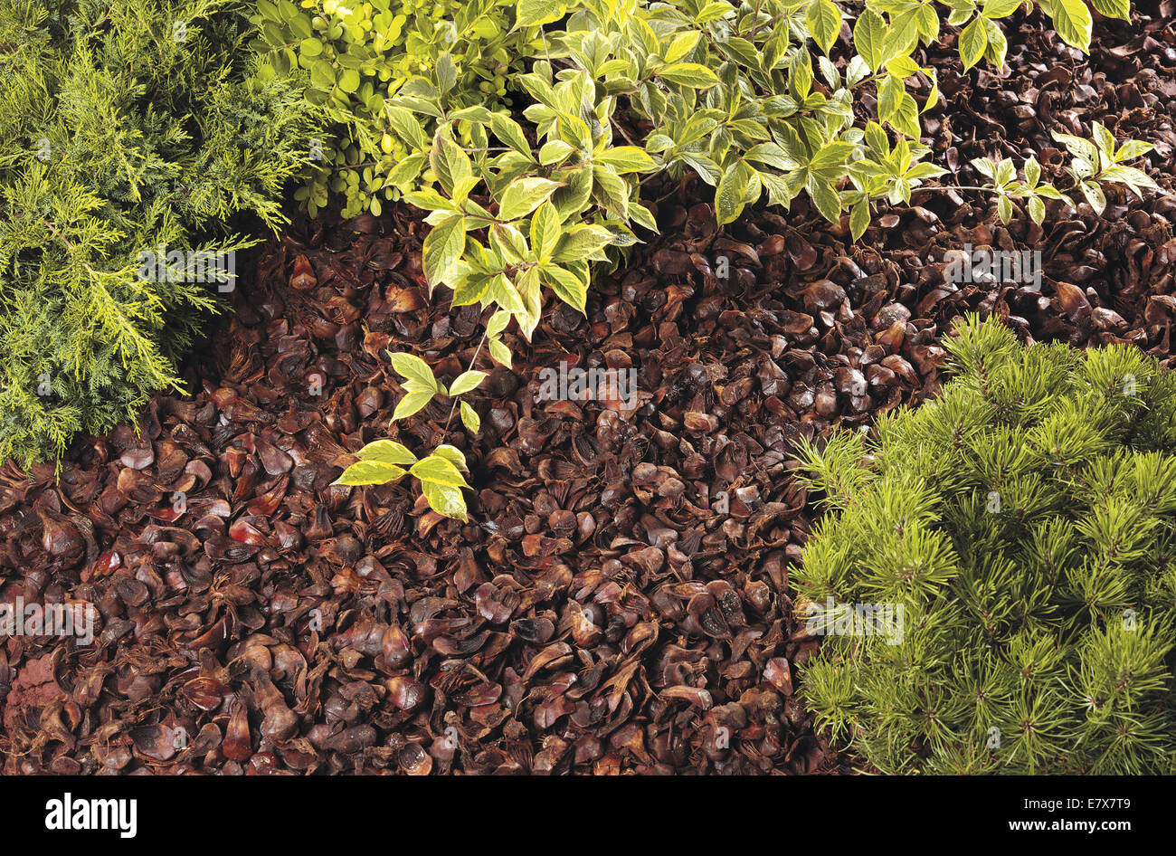 Side view grass and soil hi-res stock photography and images - Alamy