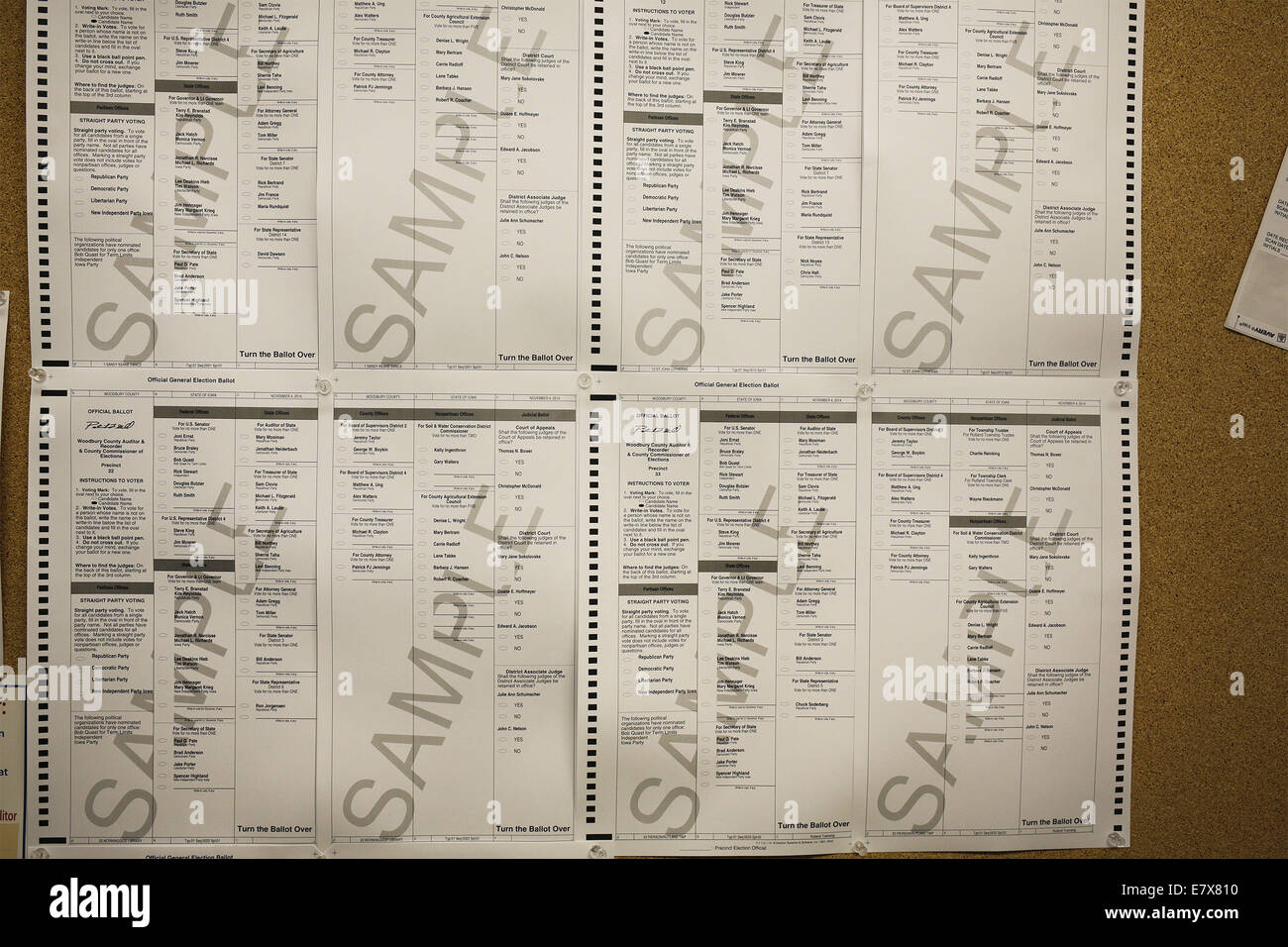 Sample ballots hi-res stock photography and images - Alamy