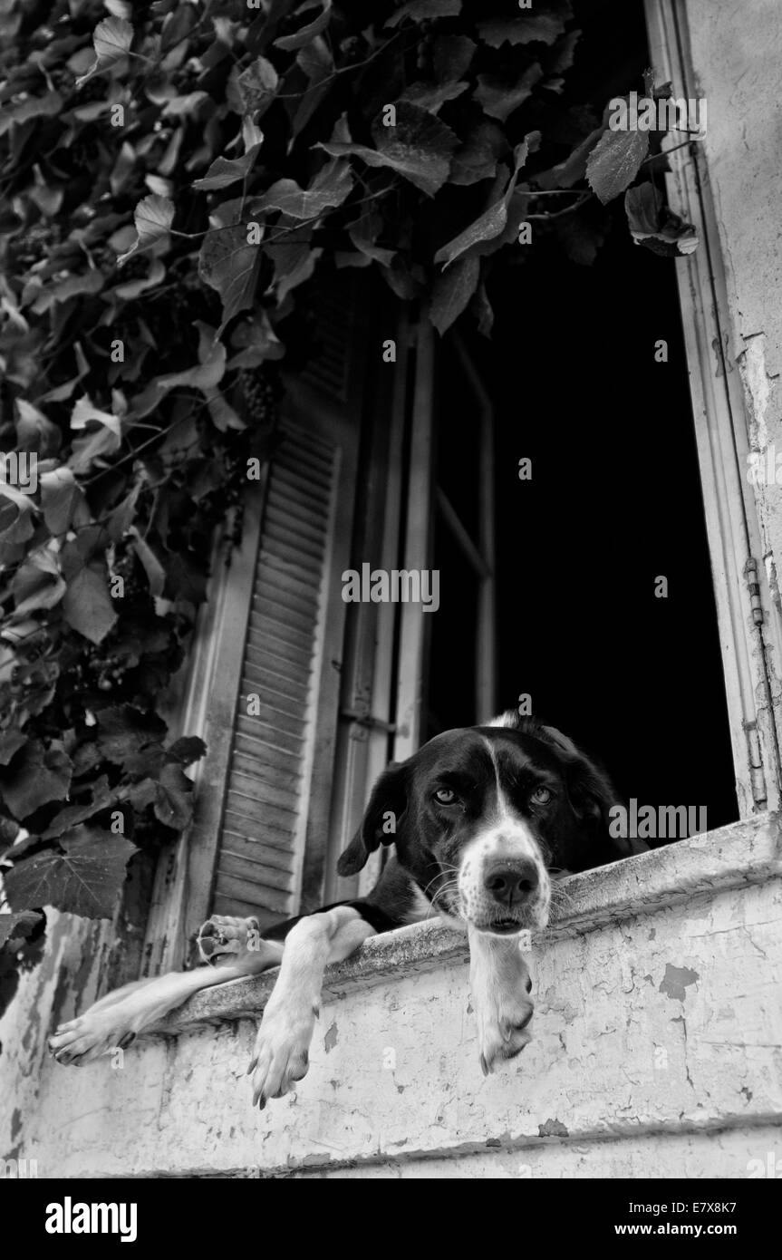 Athens agora Black and White Stock Photos & Images - Alamy