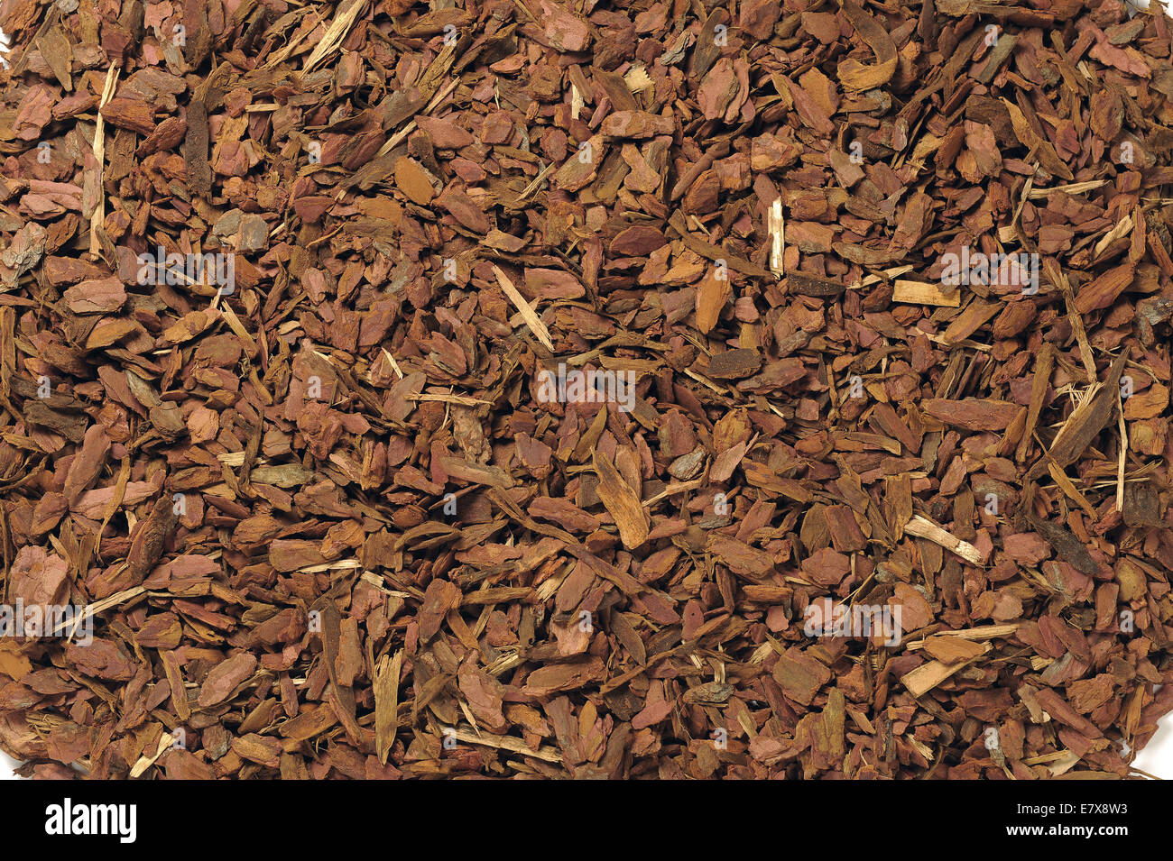 Splinter fir hi-res stock photography and images - Alamy