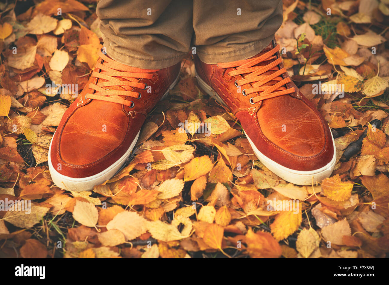 Feet Man walking on fall leaves Outdoor with Autumn season nature on ...