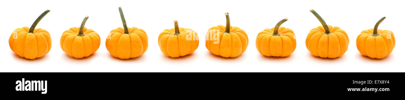 Halloween arrangement white pumpkins Cut Out Stock Images & Pictures ...