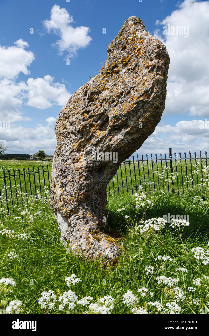 The King Stone, Rollright Stones, near Long Compton, Oxfordshire Stock ...