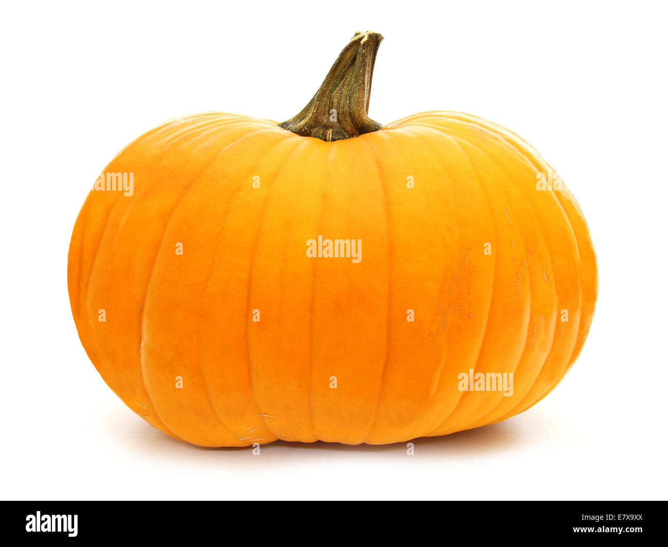 Single pumpkin isolated on white Stock Photo - Alamy