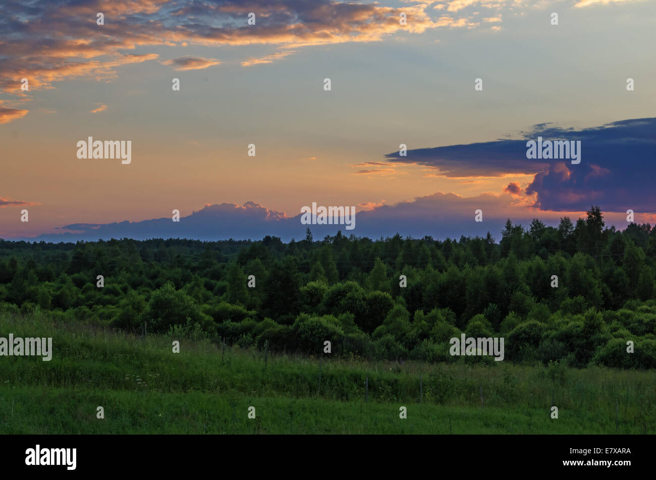 Evening sky over green grass field Stock Photo - Alamy