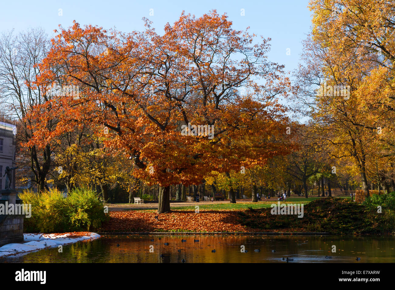 autumn park with trees over water Stock Photo - Alamy
