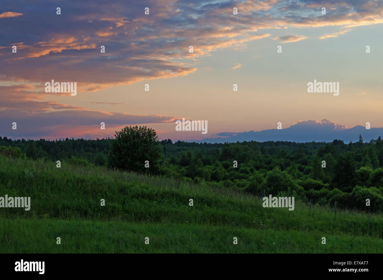 Evening sky over green grass field Stock Photo - Alamy