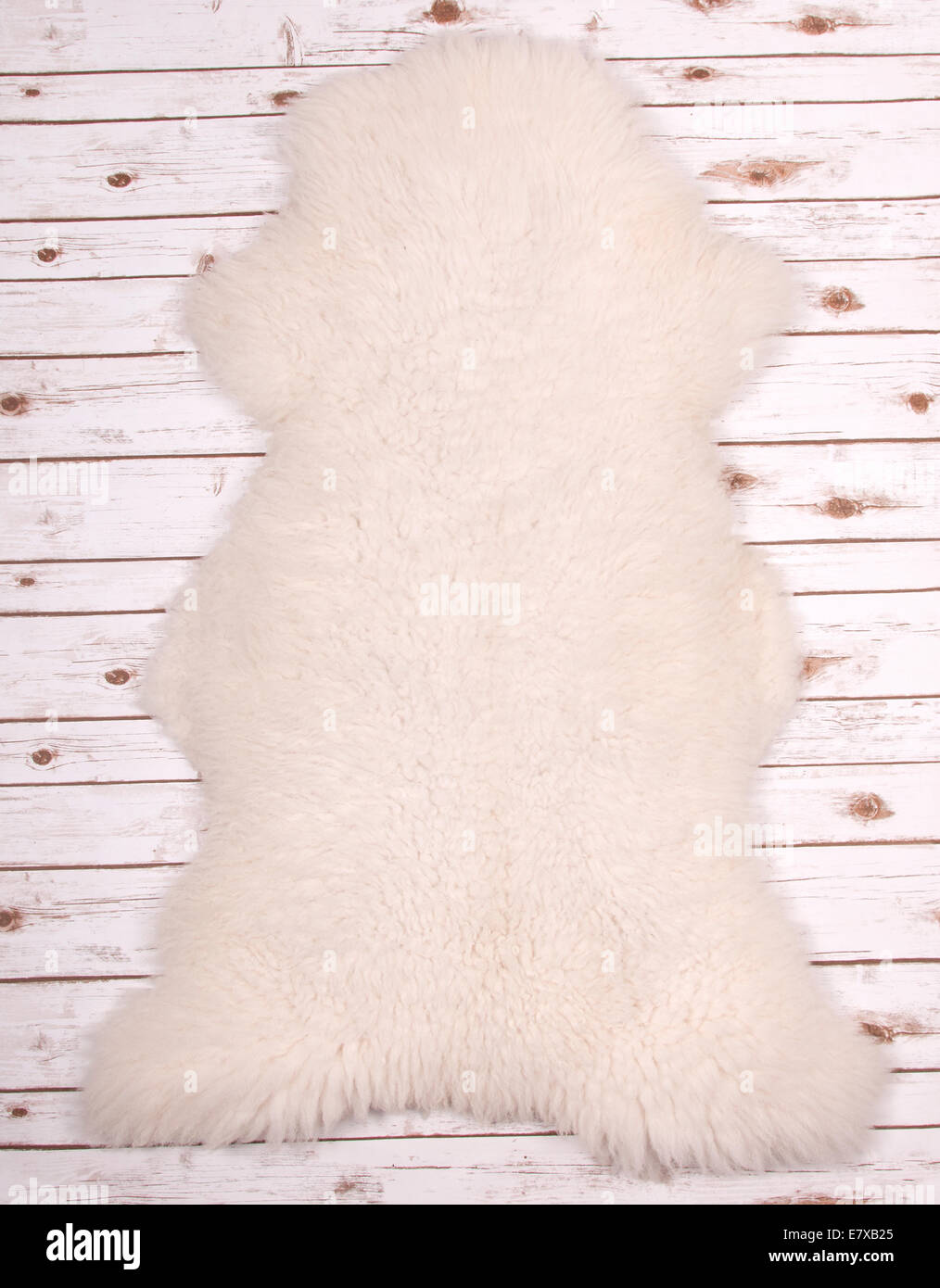 Sheep skin hi-res stock photography and images - Alamy