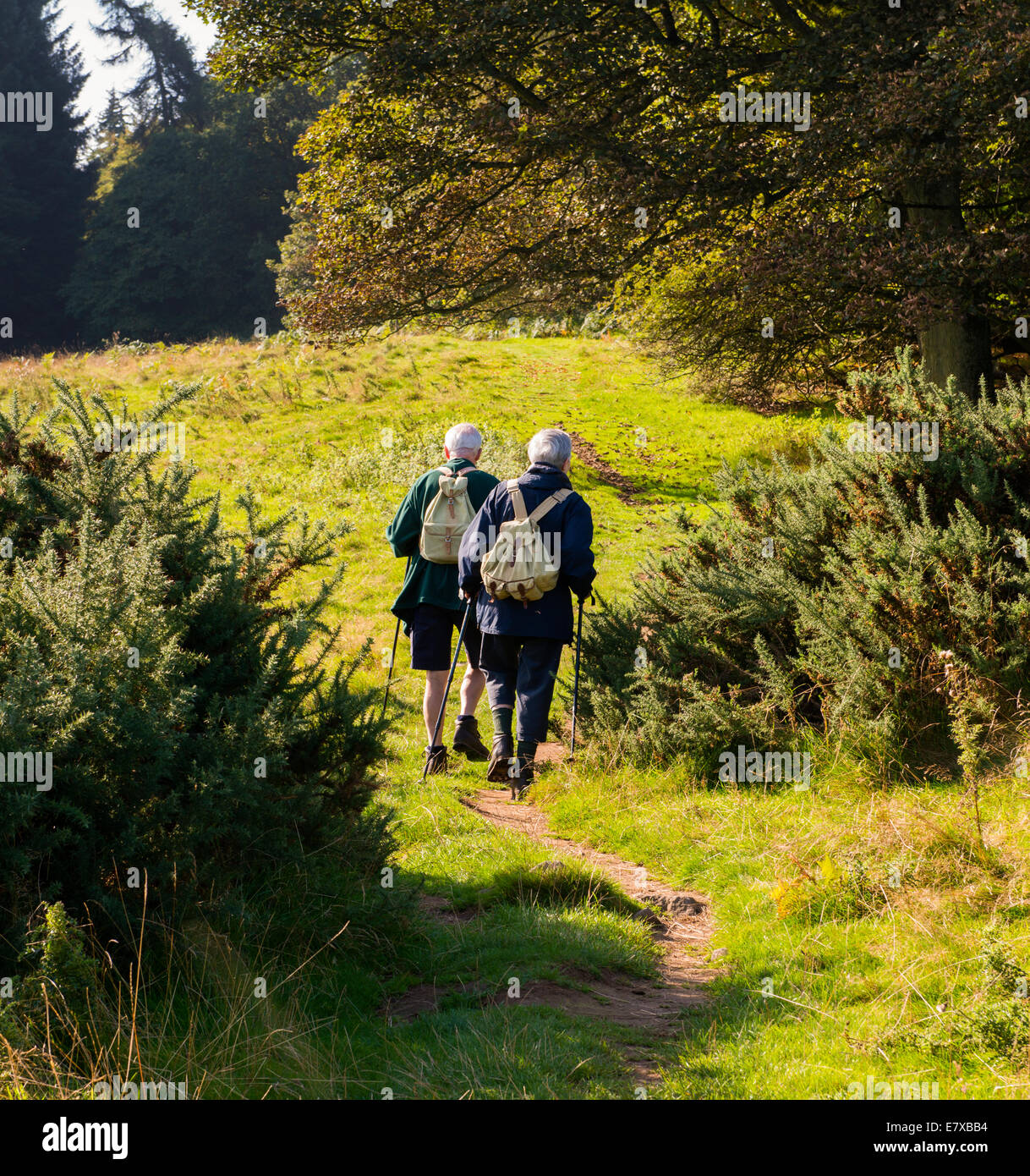 An old couple walking along a path on Brown Clee Hill, Shropshire ...