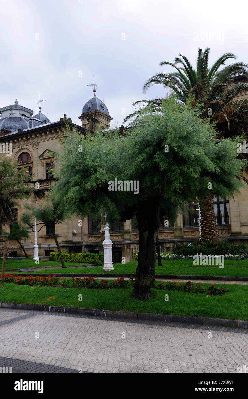 Alderdi eder hi-res stock photography and images - Alamy