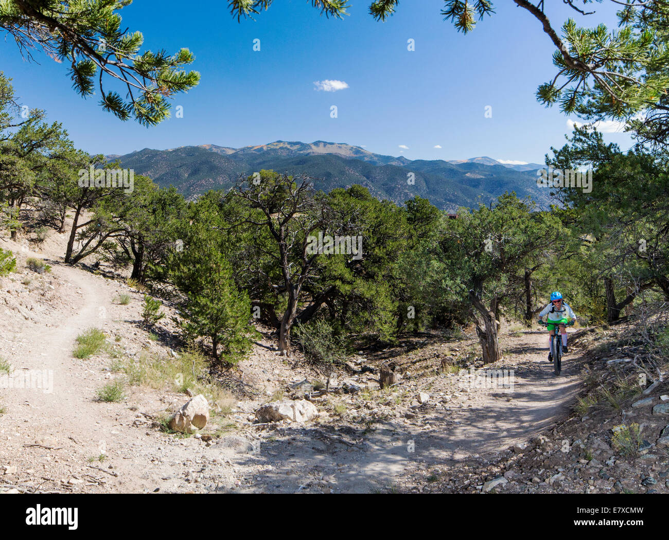 Attractive young woman mountain biking on the Little Rainbow Trail ...