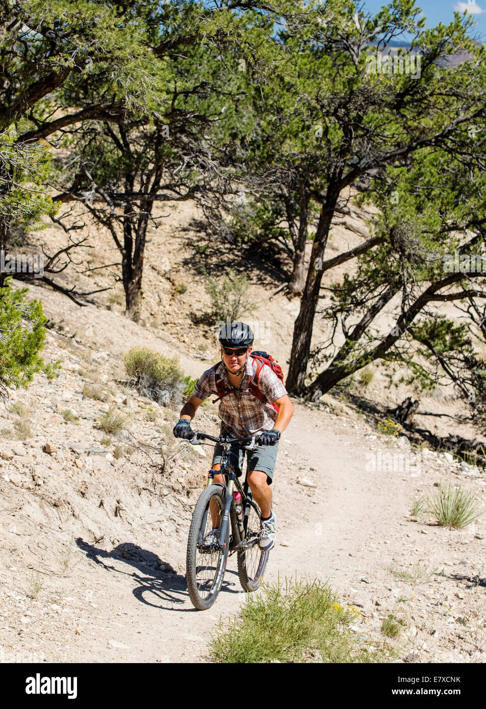 Man happy trail hi-res stock photography and images - Alamy