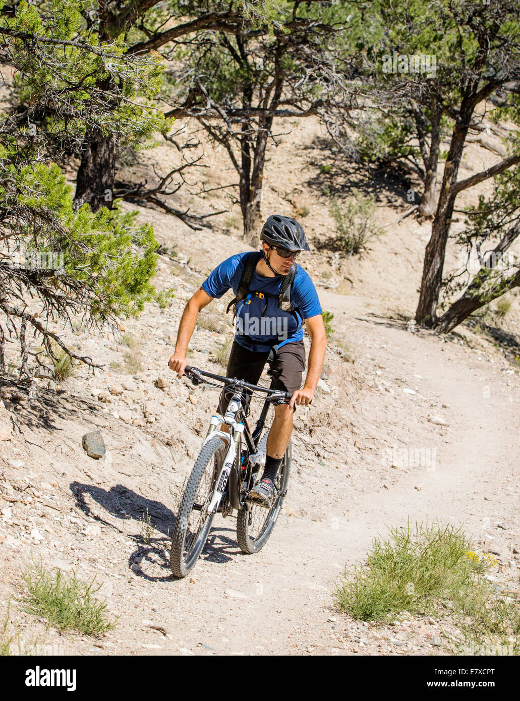 Man mountain biking on the Little Rainbow Trail, Salida, Colorado, USA ...