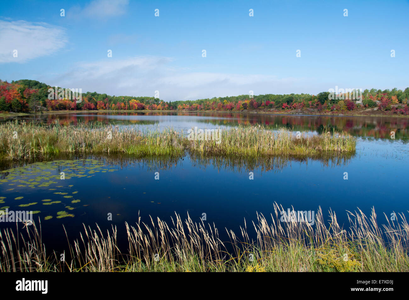 Lake in northern ontario hi-res stock photography and images - Alamy
