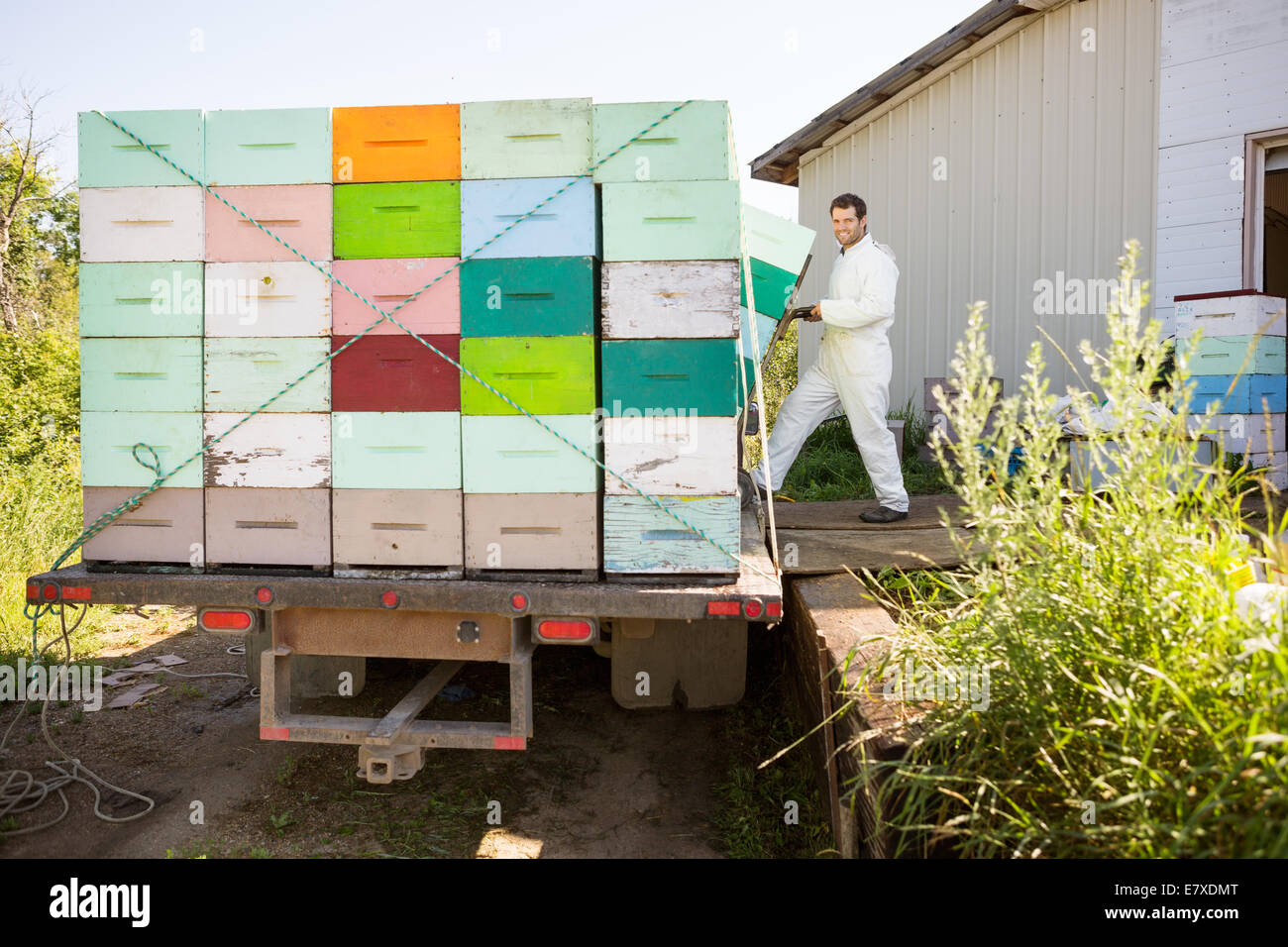 Full length of young male beekeeper loading honeycomb crates in truck ...