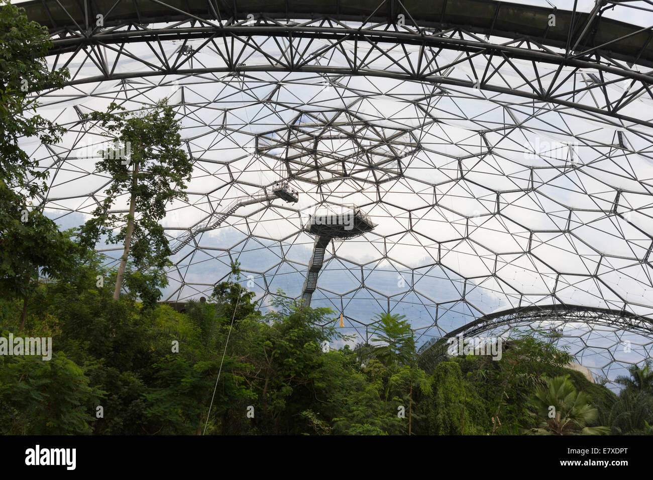 The rainforest biome at the Eden Project in Cornwall Stock Photo - Alamy