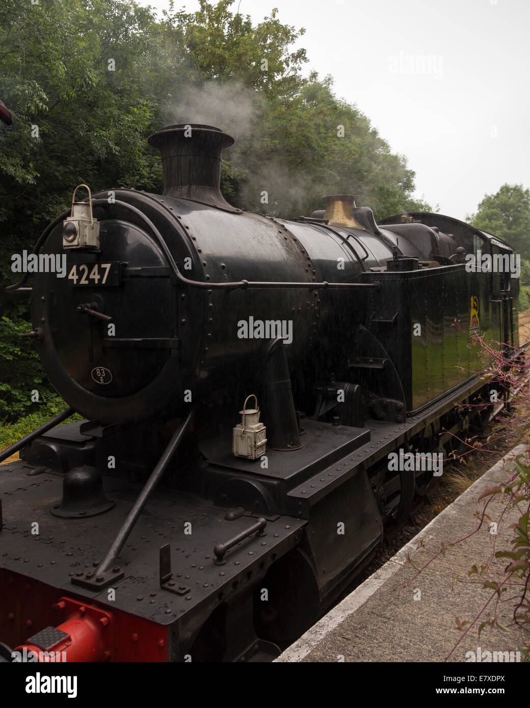 Great Western 2-8-0 tank engine on the Bodmin and Wenford Steam Railway ...