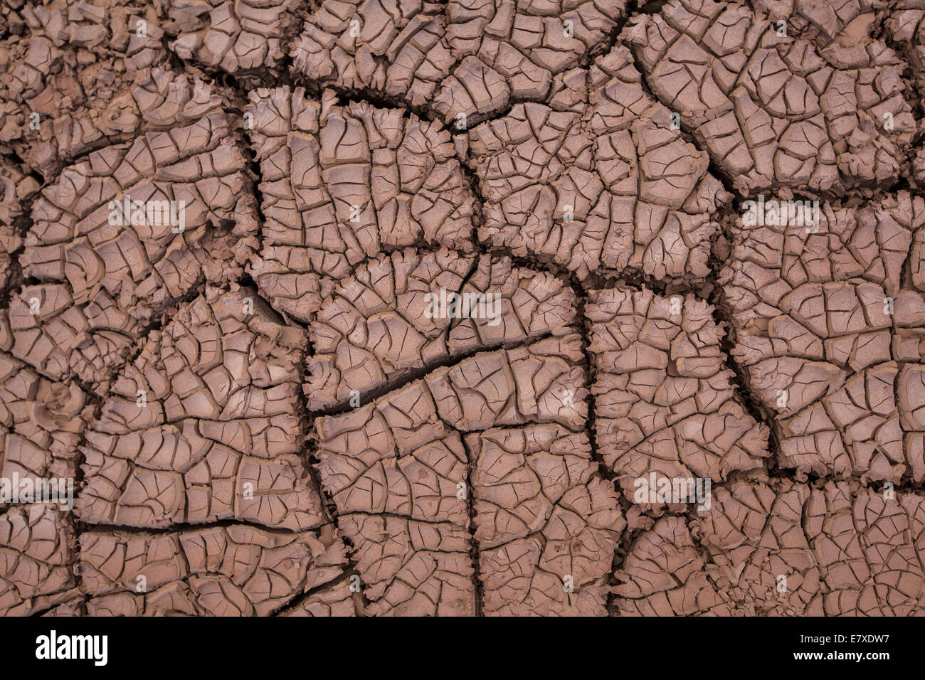 Dried mud pattern hi-res stock photography and images - Alamy