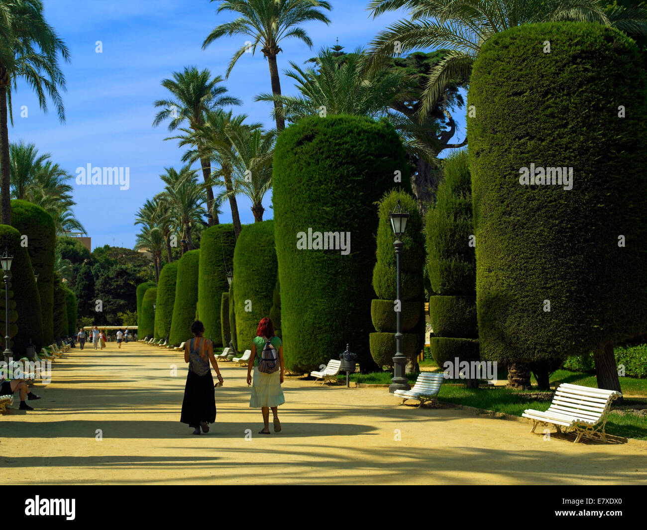 Parque genoves cadiz hi-res stock photography and images - Alamy