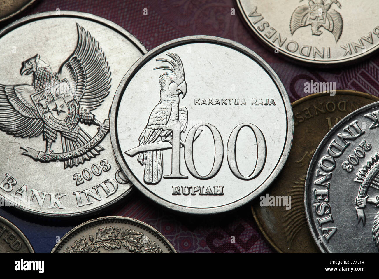 Coins of Indonesia. Palm cockatoo (Probosciger aterrimus) depicted in ...
