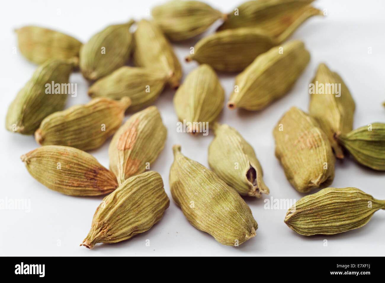 Beautiful photo cardamon isolated on white background Stock Photo - Alamy