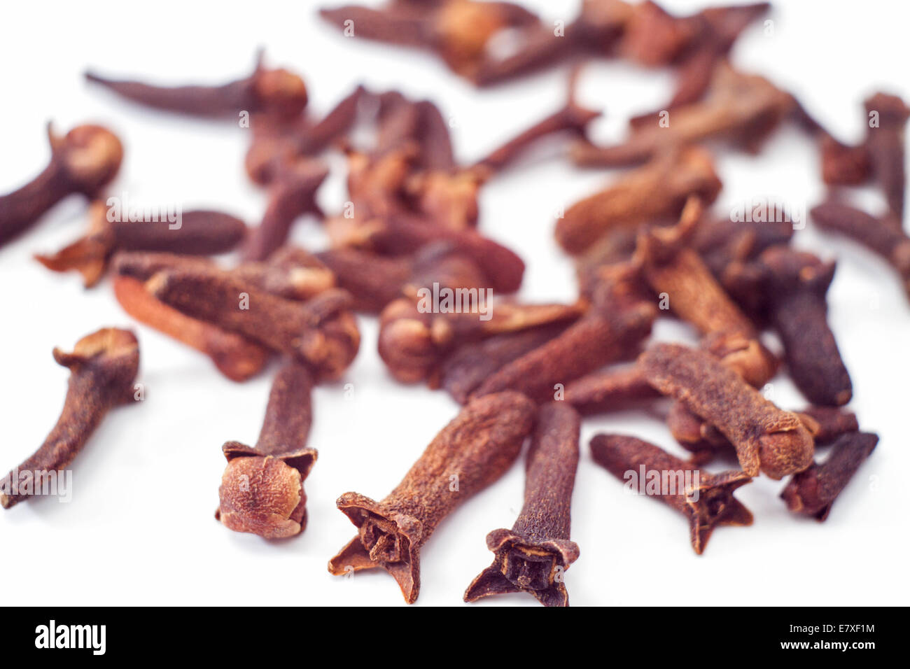 Beautiful photo cloves isolated on white background Stock Photo - Alamy