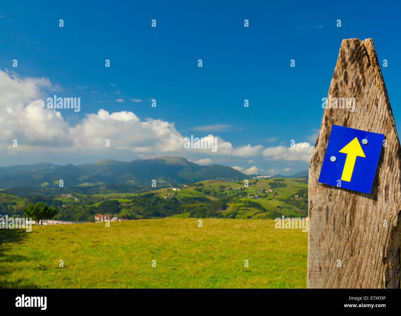 The Camino de Santiago, also known by the English names Way of St ...