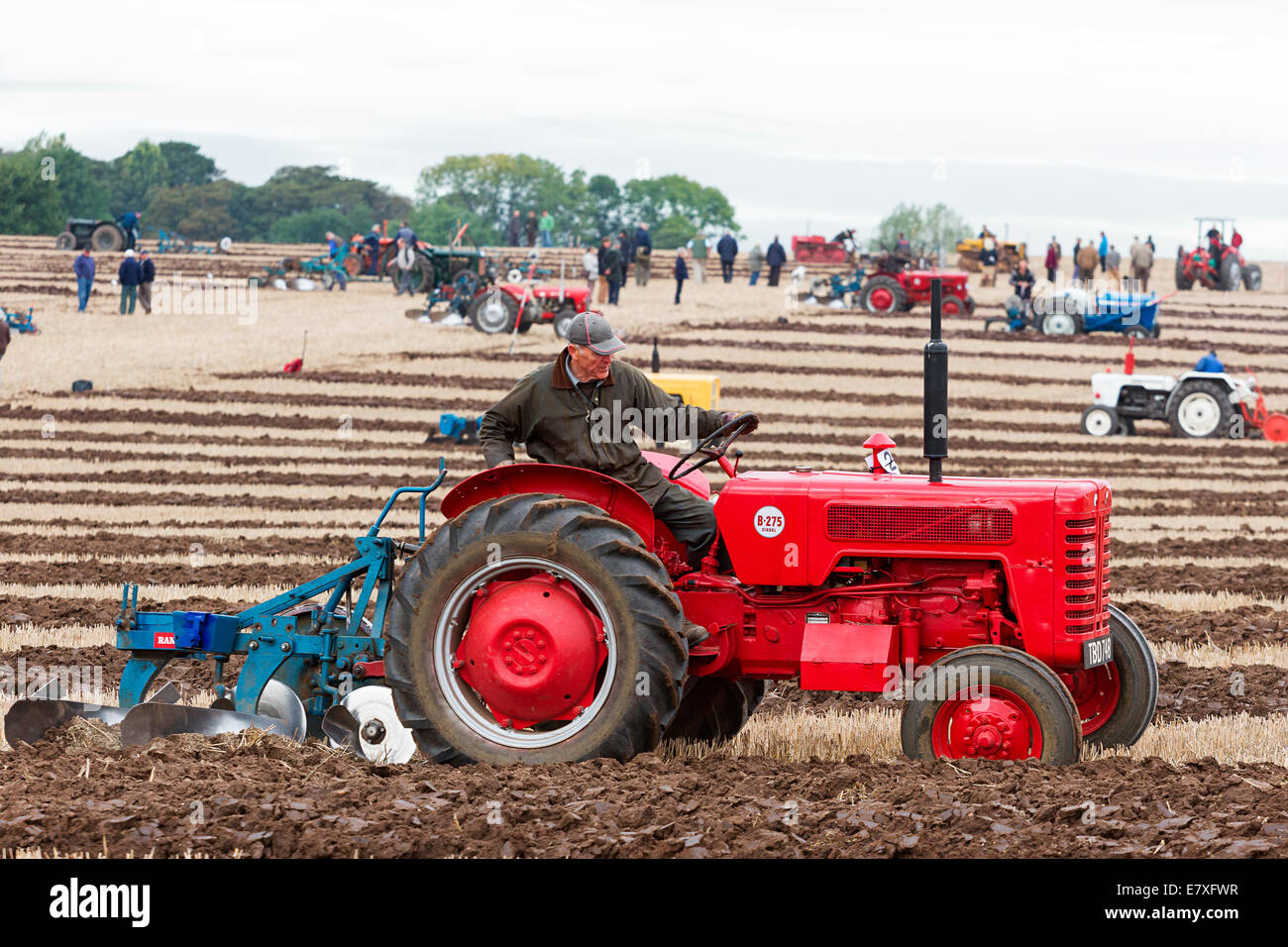 Competitors competing at a Ploughing Match Stock Photo - Alamy