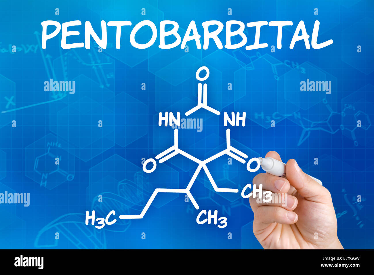 Pentobarbital hi-res stock photography and images - Alamy