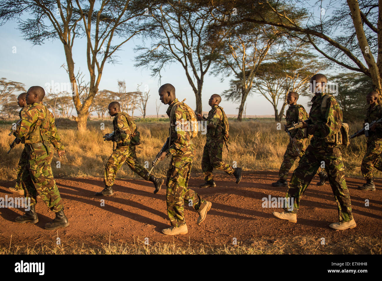 The Lewa Wildlife Conservancy serves as a refuge for endangered species ...