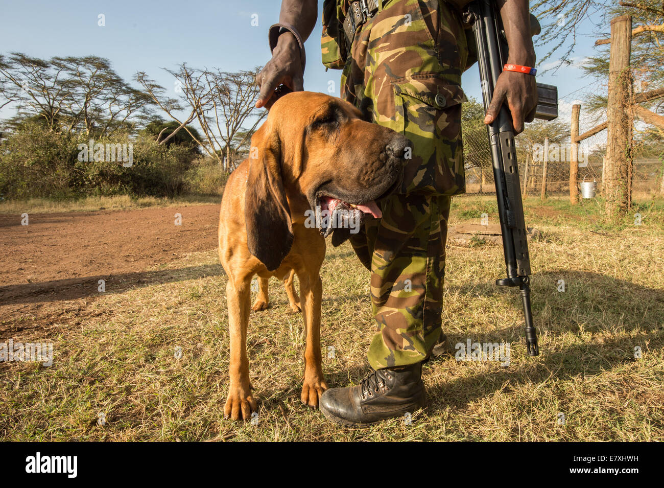 Anti poaching training africa hi-res stock photography and images - Alamy