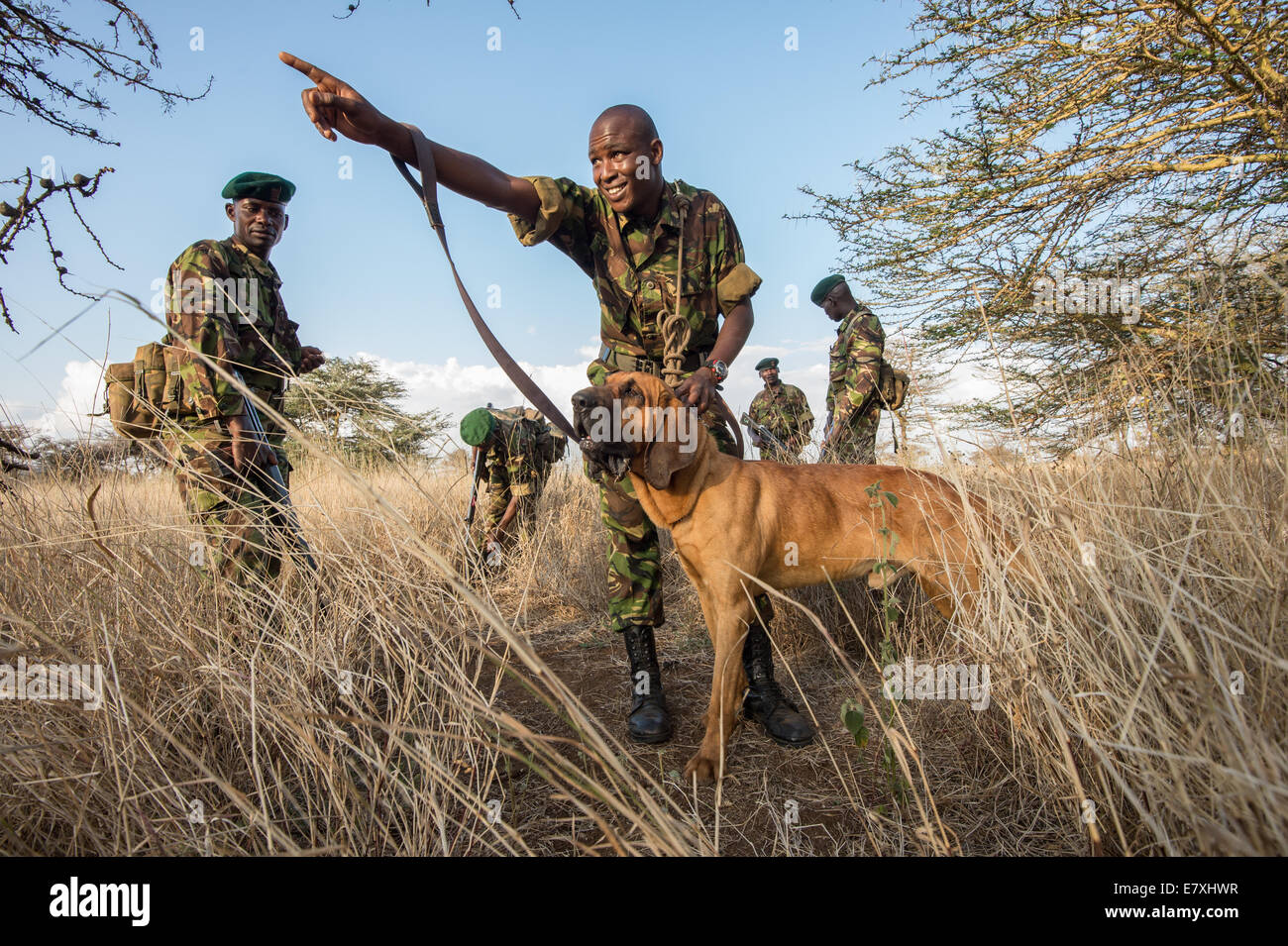 Anti poaching training africa hi-res stock photography and images - Alamy