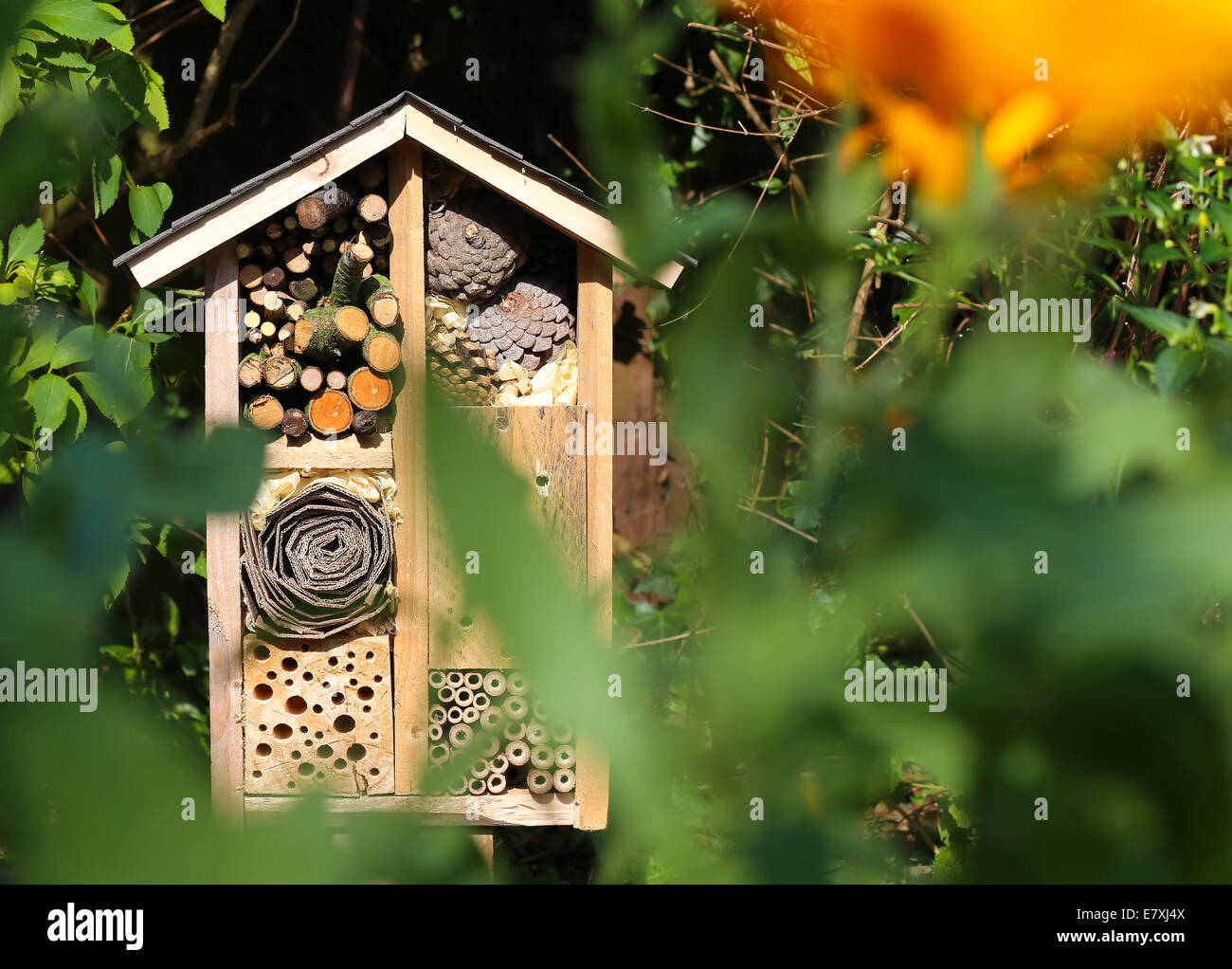 Wooden insect house decorative bug hotel, ladybird and bee home for ...
