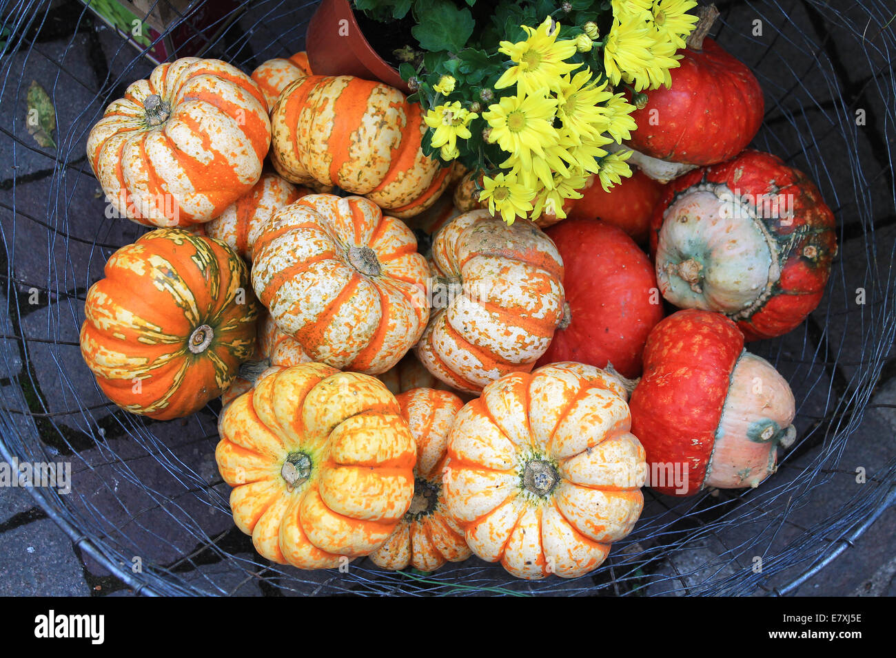 Small cuisine hi-res stock photography and images - Alamy