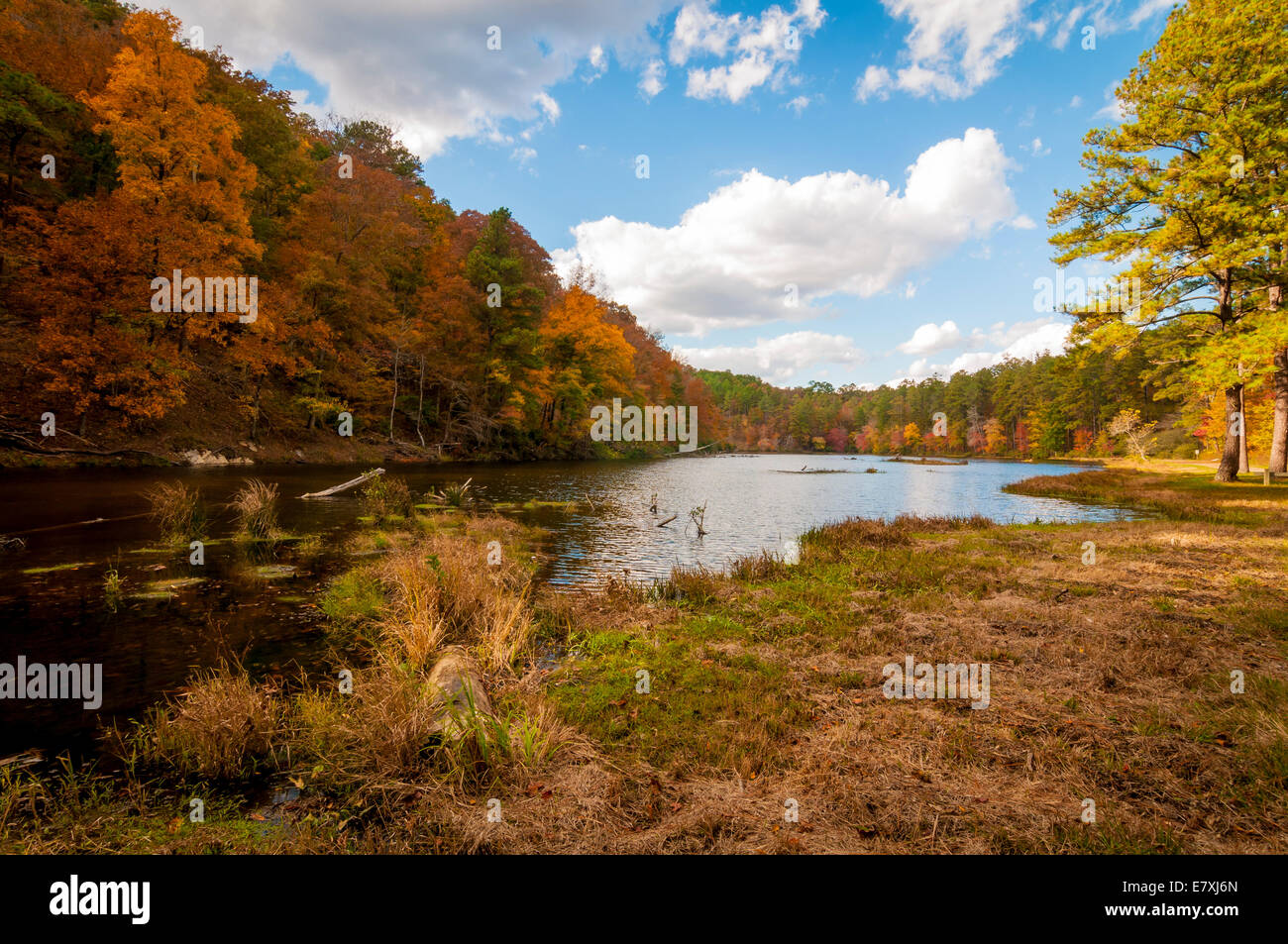 View Of Lake Chinnabee In Talladega National Forest Alabama Usa Stock