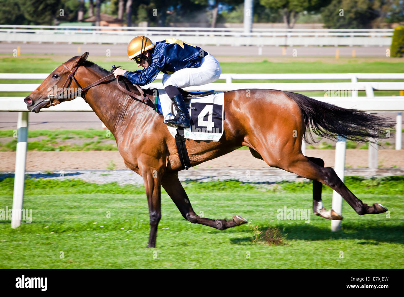 Two race horses hi-res stock photography and images - Alamy
