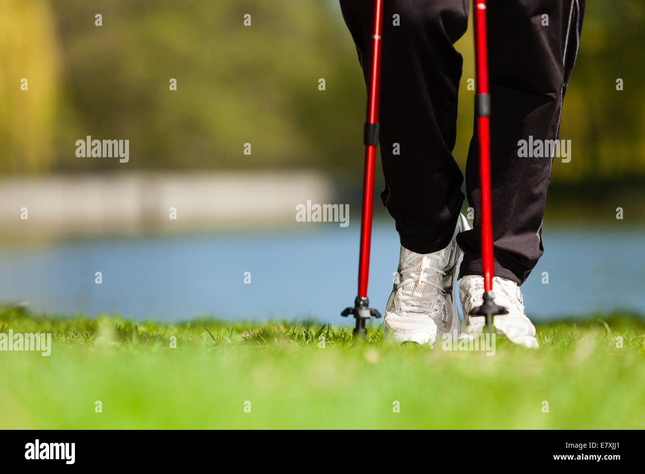 Nordic walking. Closeup of female legs hiking in the park. Active and ...