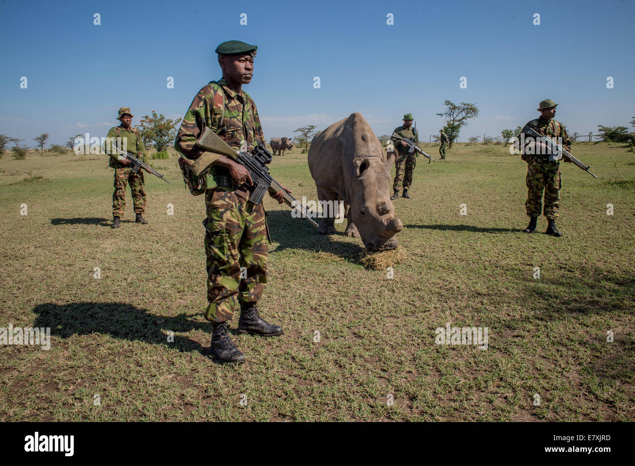 Corporal Simon Irungu, and his platoon of armed Kenyan guards watch ...