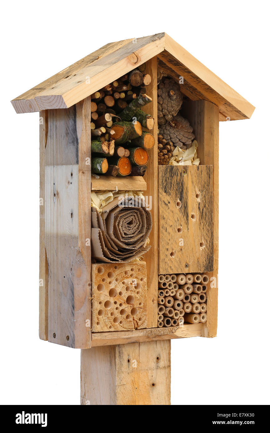 Wooden insect house decorative bug hotel, ladybird and bee home for ...