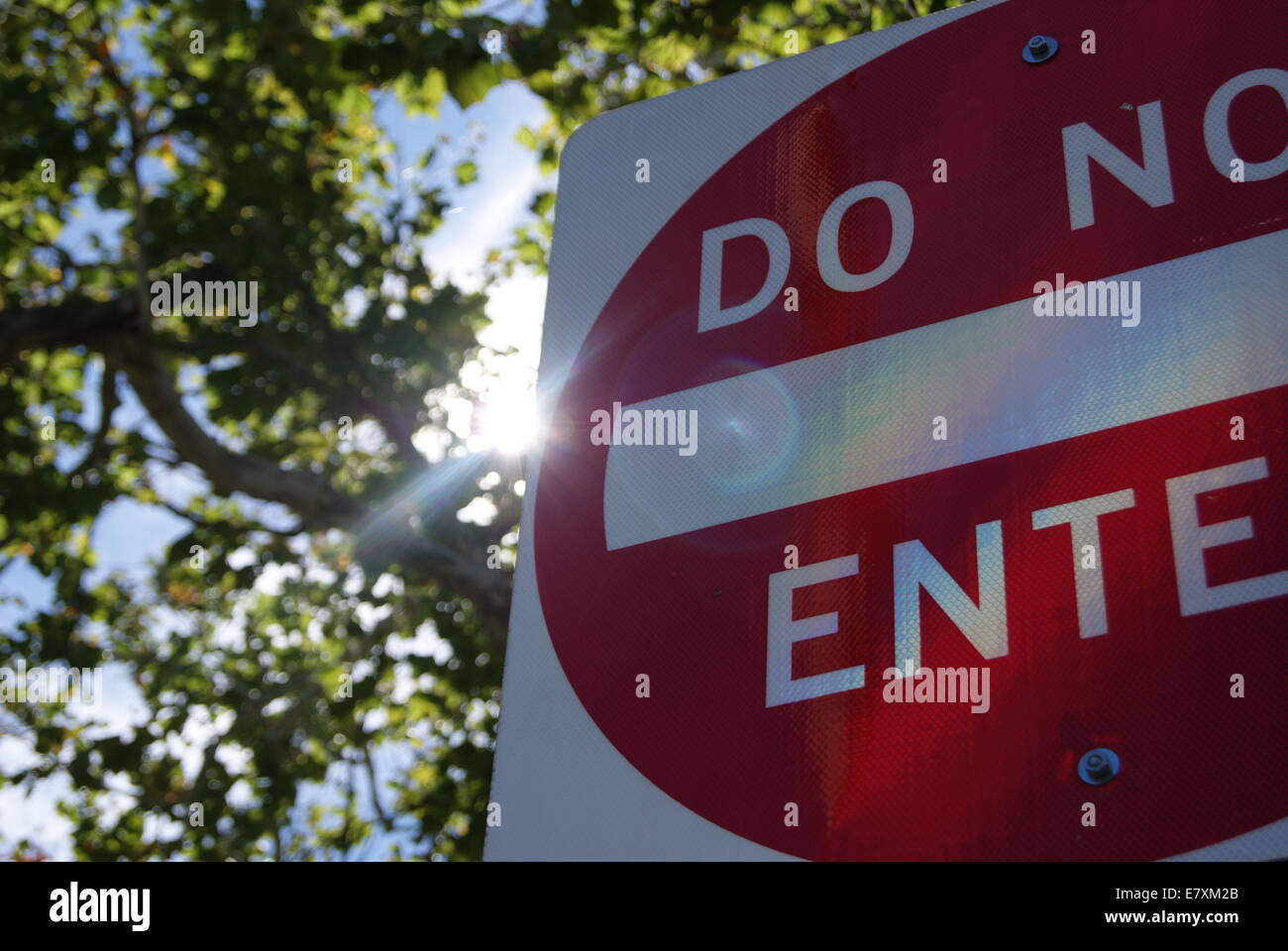 A Do Not Enter sign with a stunning tree background Stock Photo - Alamy