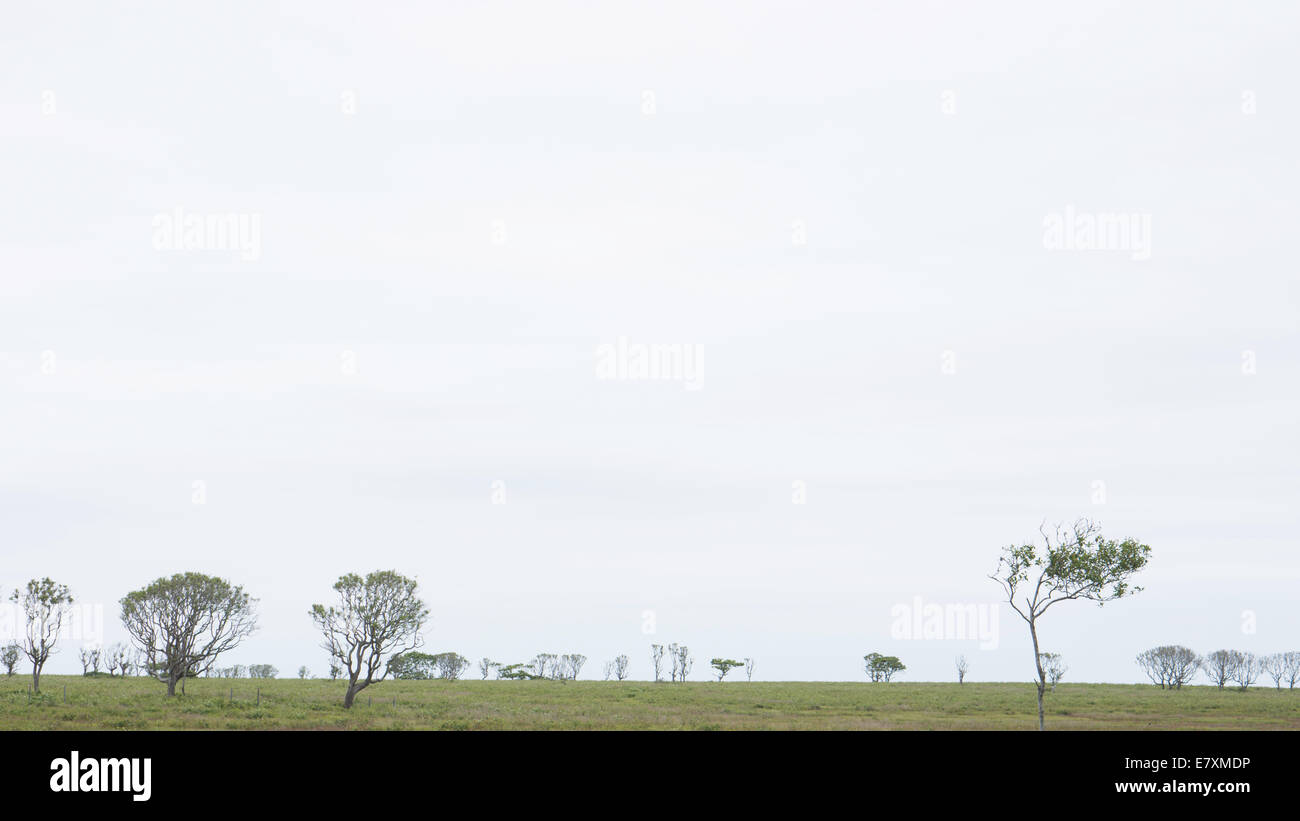 Nantucket landscape hi-res stock photography and images - Alamy