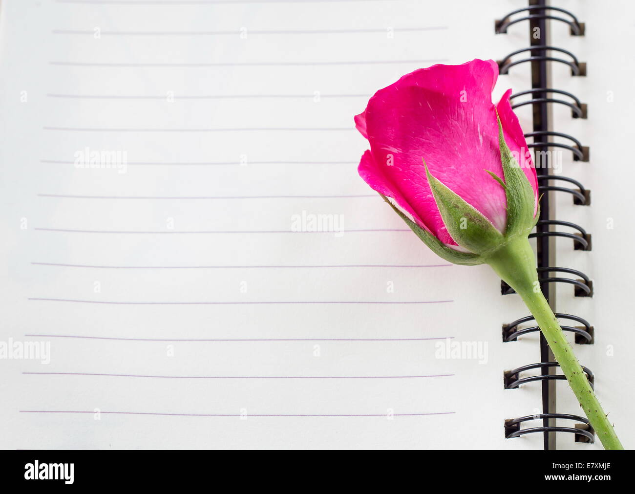 Image diary hi-res stock photography and images - Alamy