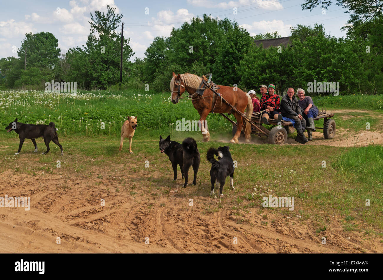 Village sand road. Rural dogs, cart and peasants Stock Photo - Alamy