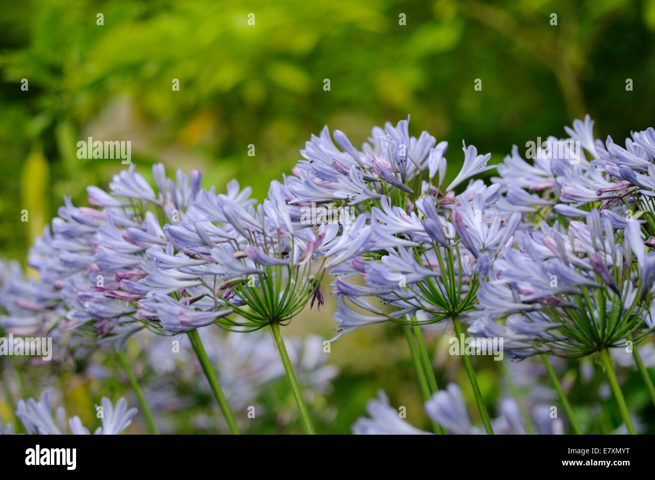 Wind Direction Stock Photos & Wind Direction Stock Images - Alamy