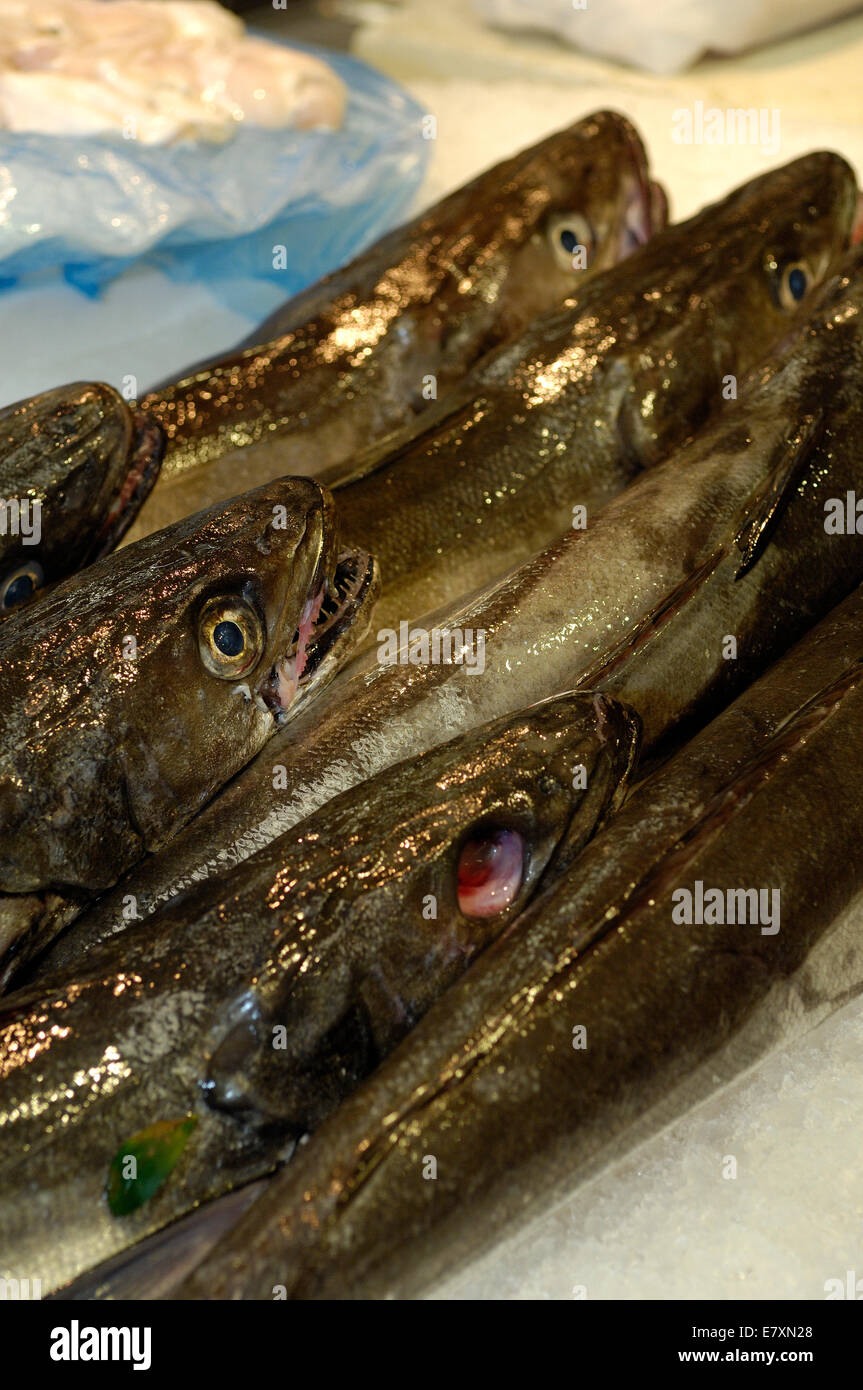 Hake fish hi-res stock photography and images - Alamy