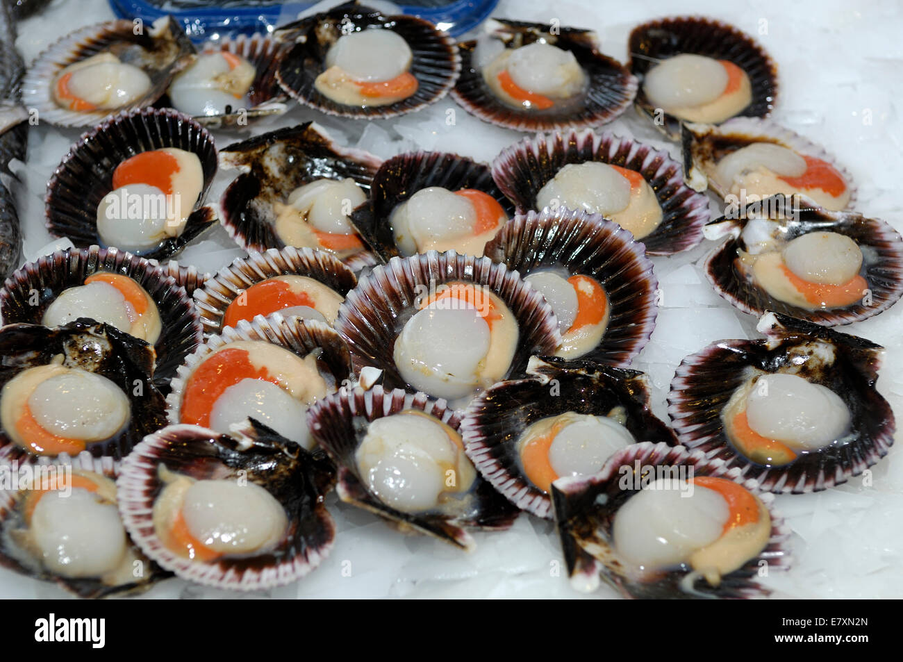 Scallops shellfish hi-res stock photography and images - Alamy