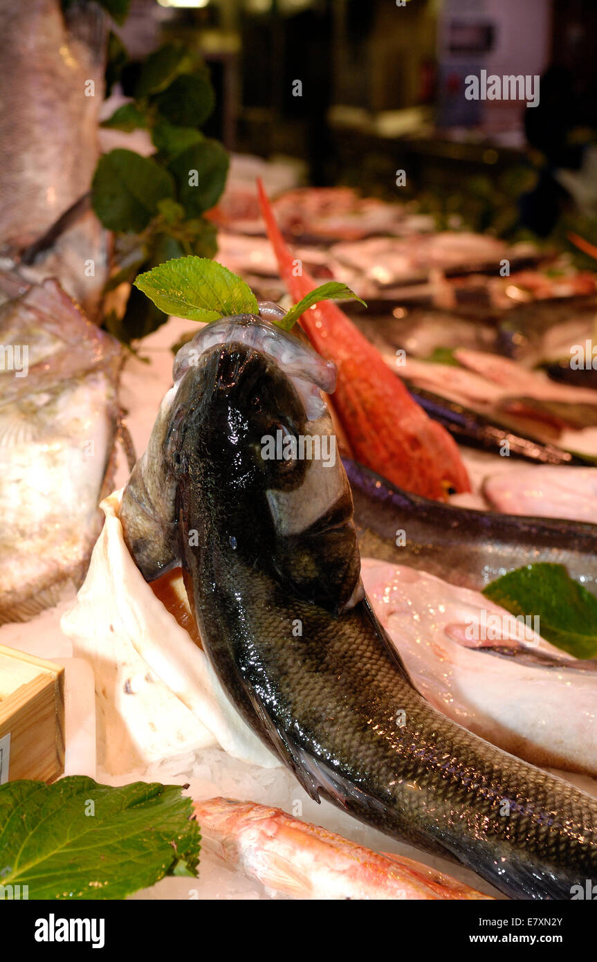 Bass fish hi-res stock photography and images - Alamy