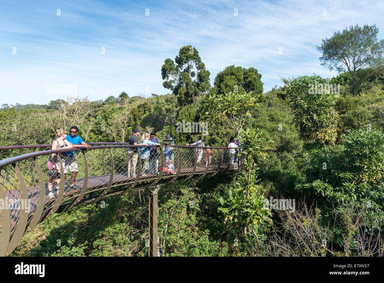 Tree canopy hi-res stock photography and images - Alamy