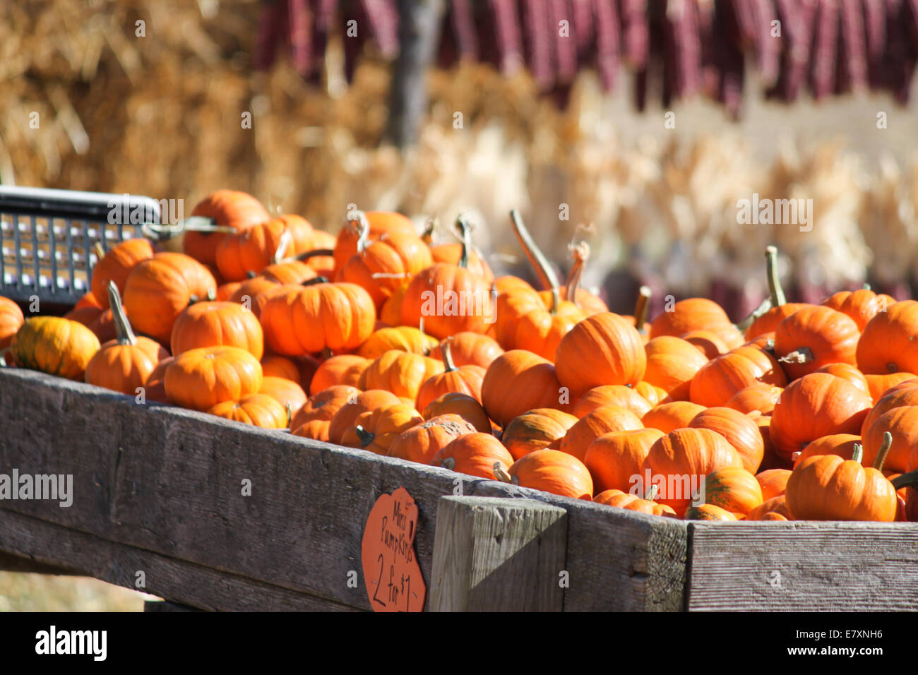 Mini patch hi-res stock photography and images - Alamy