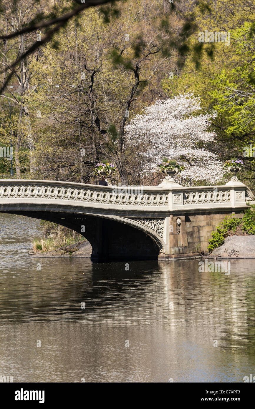 Bow Bridge Central Park, NYC, USA Stock Photo - Alamy